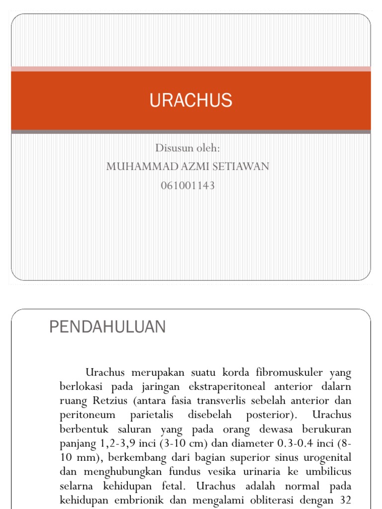 URACHUS Persentation | PDF