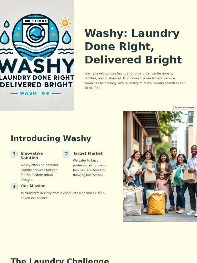 Washy Laundry Done Right Delivered Bright | PDF | Laundry | Business ...