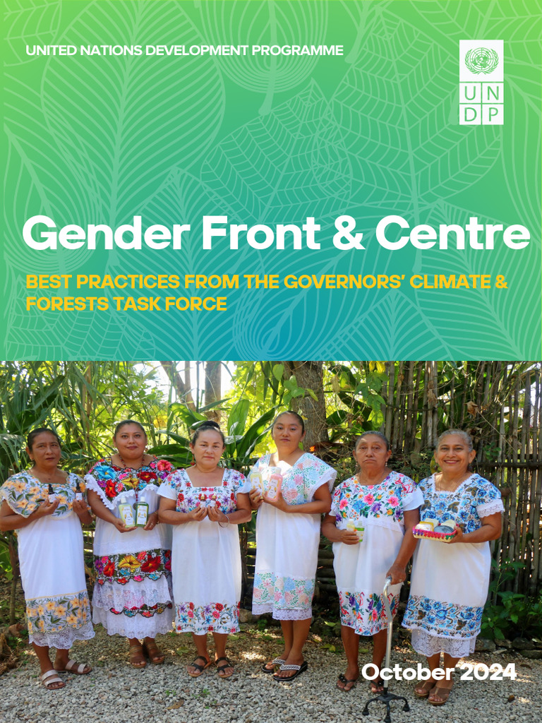 Undp Gender Front and Centre | PDF | United Nations Development ...