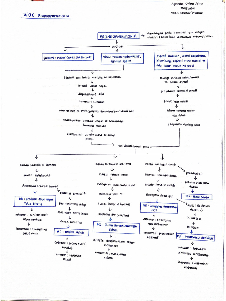 WOC Bronkopneumonia | PDF