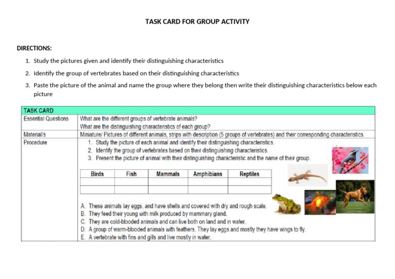 Vertebrate Group Identification Task | PDF