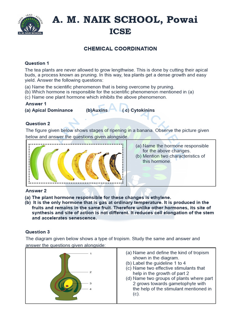 Grade 10 Biology Notes Chemical Coordination in Plants Docx | PDF ...
