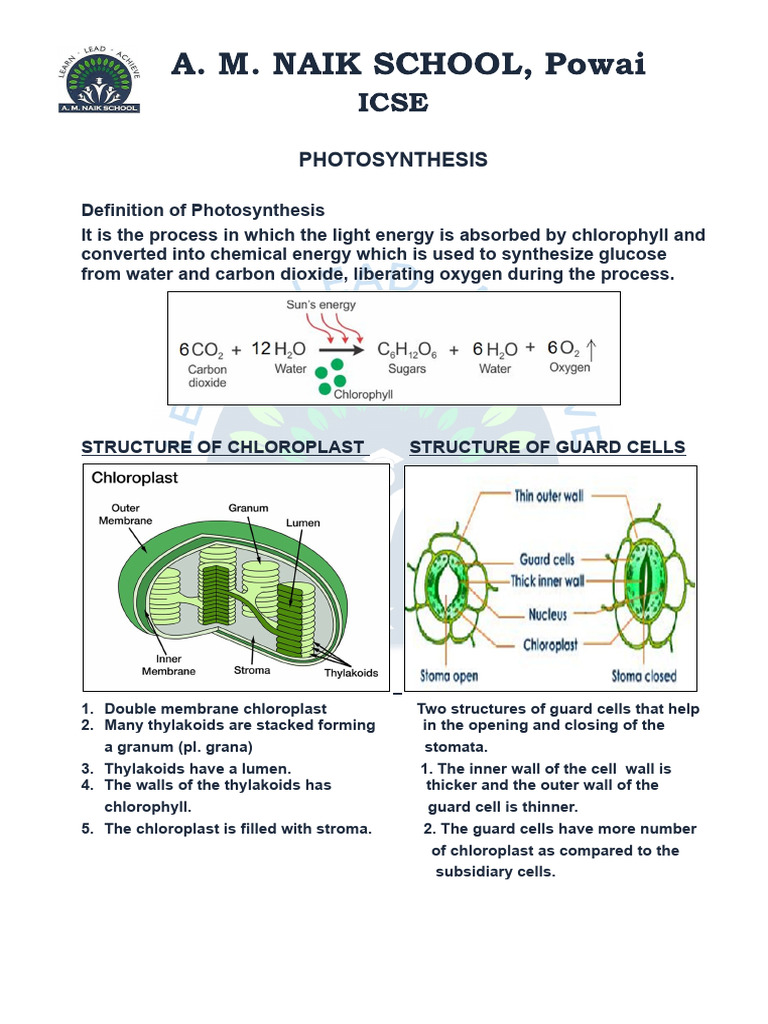 Grade 10 Biology Points To Remember Photosynthesis | PDF ...
