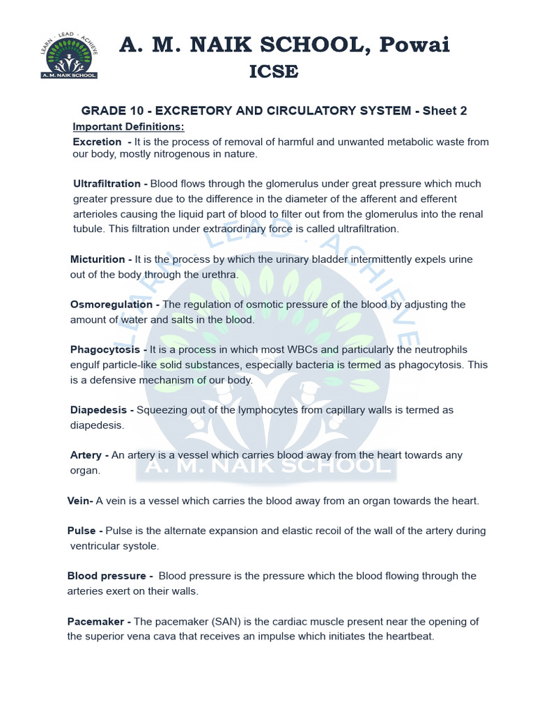 Grade 10 Biology Circulatory System Sheet 2docx | PDF | Kidney | Artery