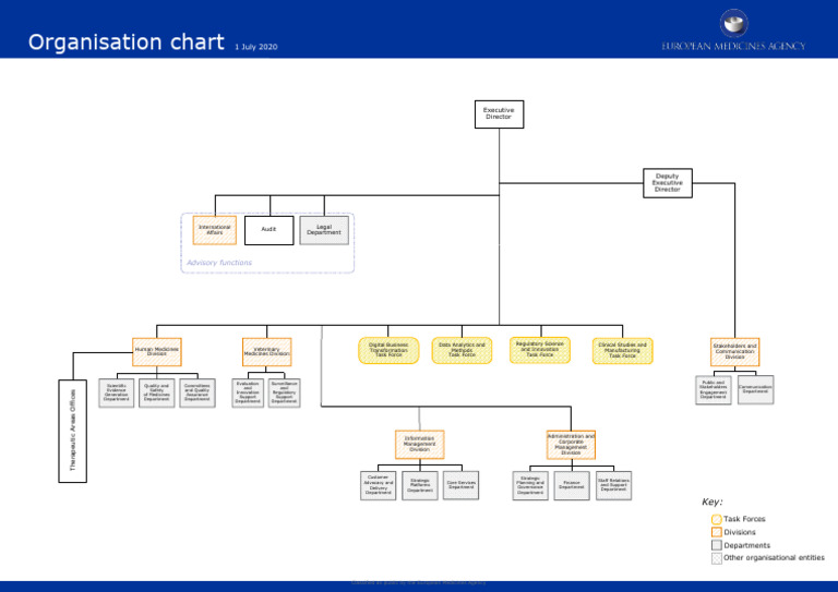 Tema 16organisation-Chart-European-Medicines-Agency - en | PDF | Business