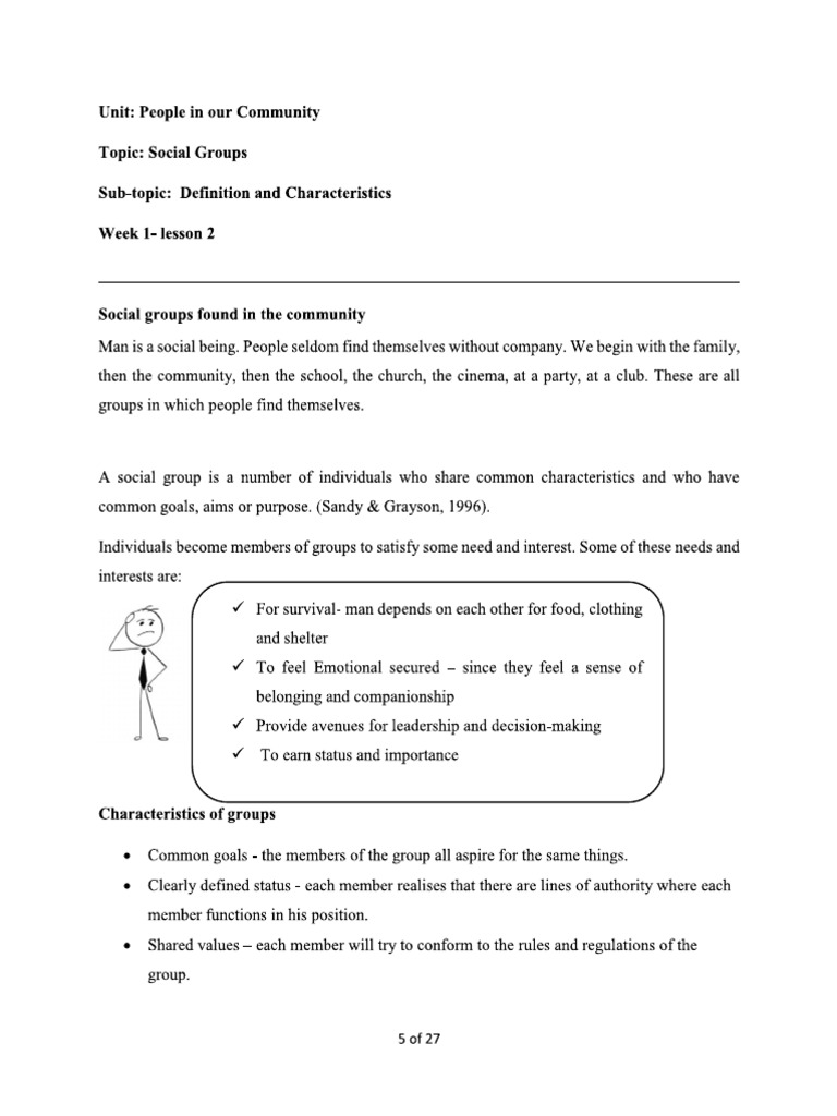 Social Groups and The Peer Group | PDF