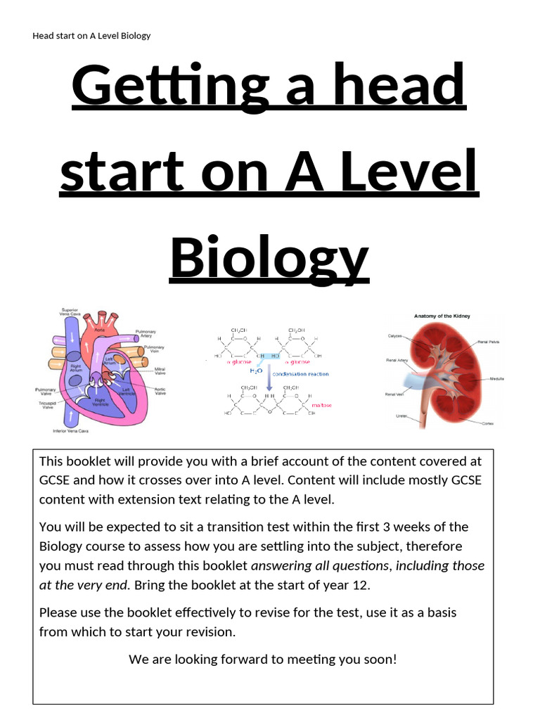 Biology - Task D Head Start On Biology Booklet | PDF | Cellular Respiration | Heart