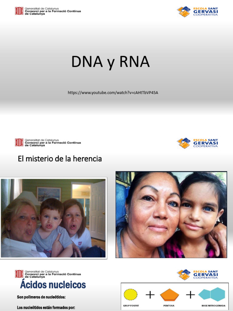 DNA y RNA | PDF | Rna | Nucleótidos