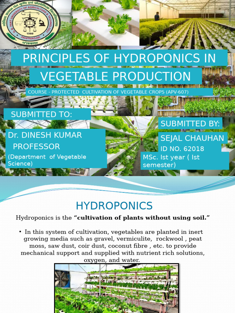 Hydroponics | PDF | Hydroponics | Vegetables