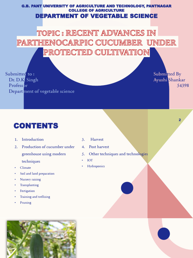 Cucumber | PDF | Cucumber | Hydroponics