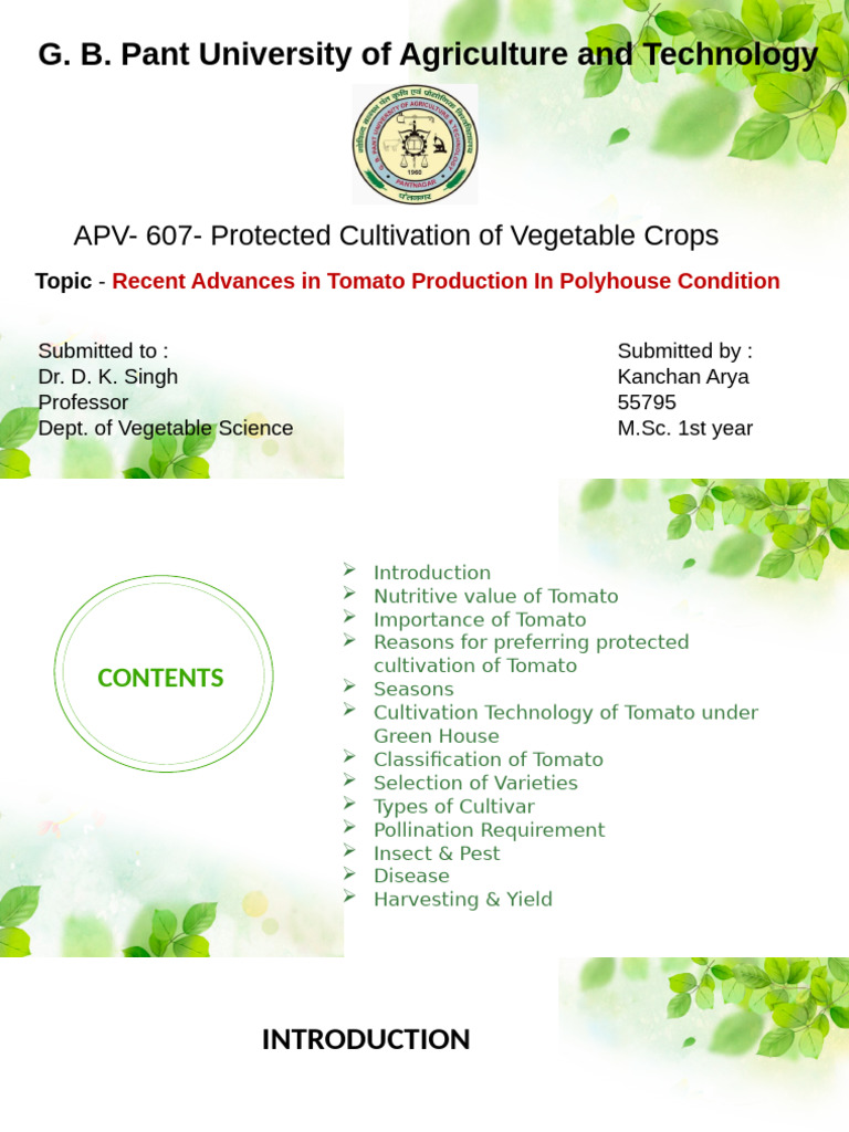 Govind Ballabh-WPS Office | PDF | Tomato | Mulch