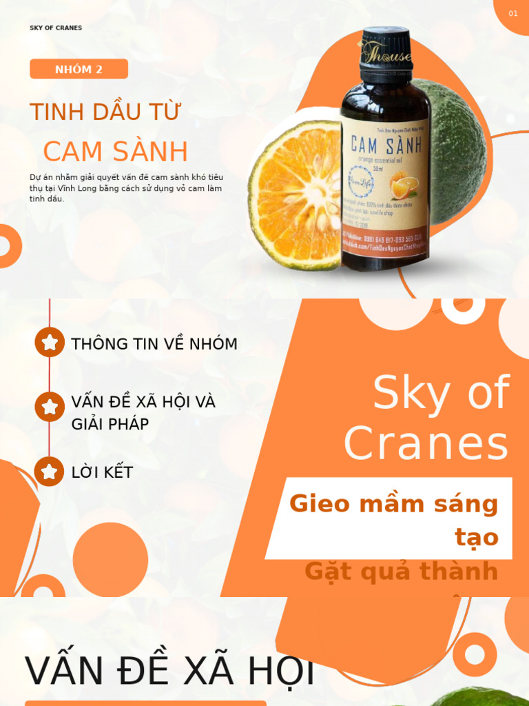 TT Enactus | PDF