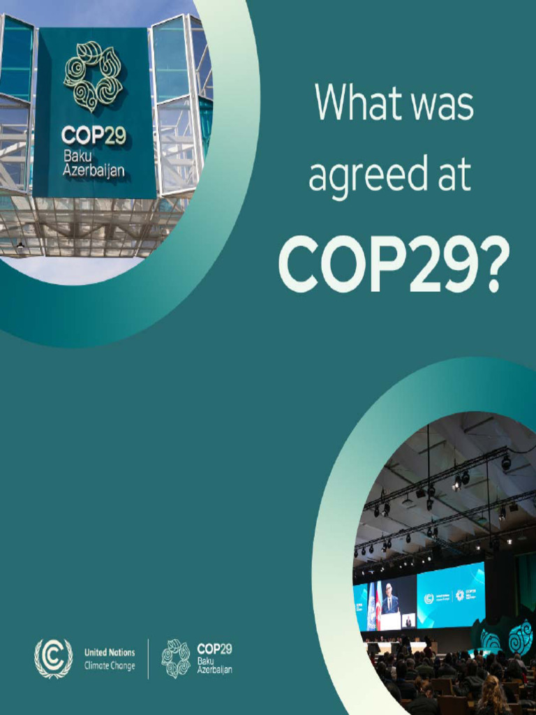 What Was Agreed at COP29 | PDF