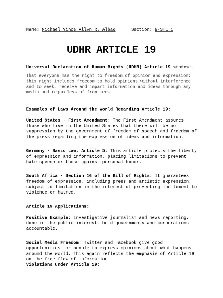 Understanding Article 19 Rights | PDF