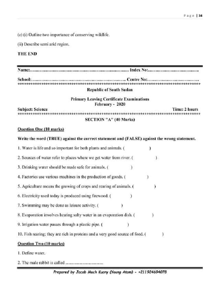 2020 Ple Science | PDF
