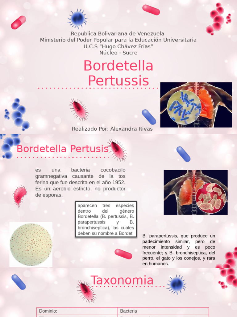 Bordetella pertussis: Causas y Efectos | PDF | Especialidades Medicas ...