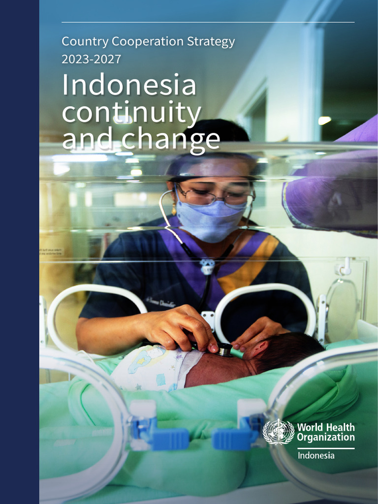 Country Cooperation Strategy | PDF | World Health Organization | Public ...