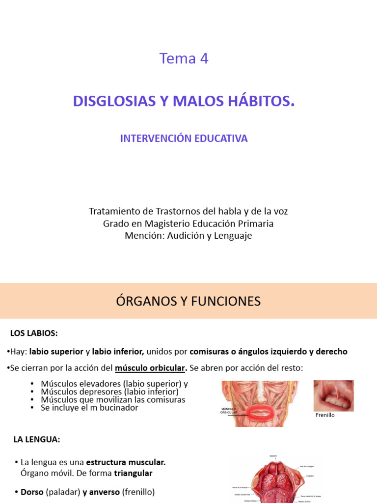 Disglosias y Triangular de los Labios | PDF | Boca