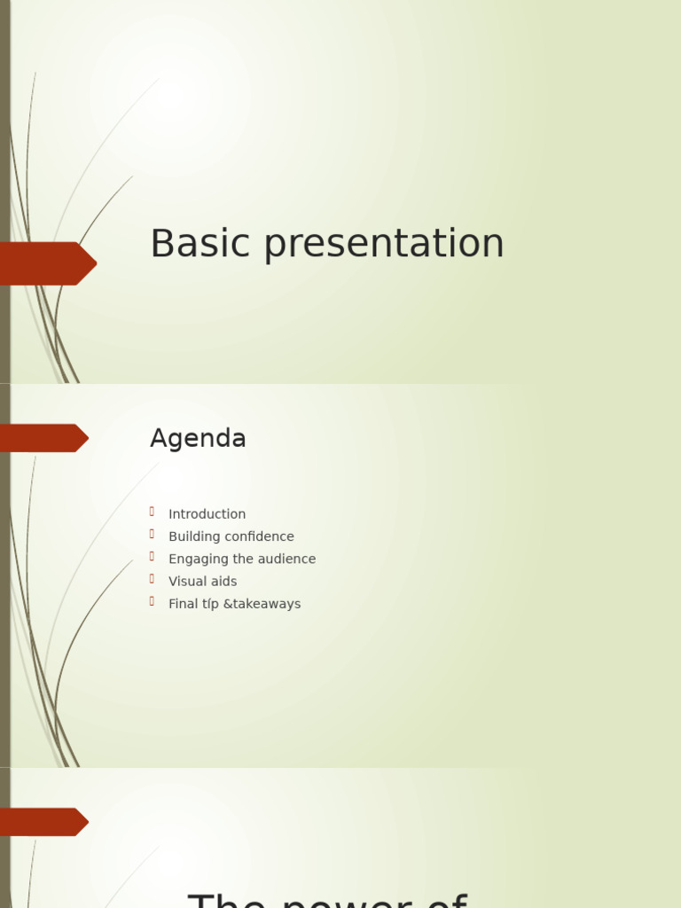 Basic Presentation | PDF