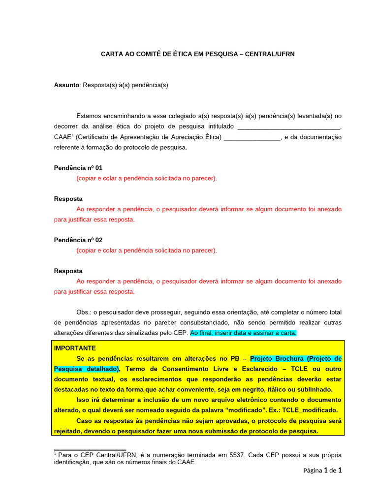 11 - MODELO 11 - Carta de Respostas As Pendencias | PDF