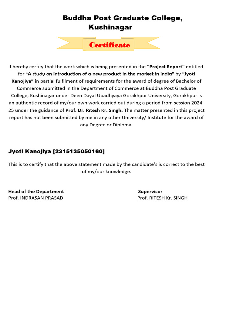 New Product Introduction Strategies in India | PDF | New Product ...