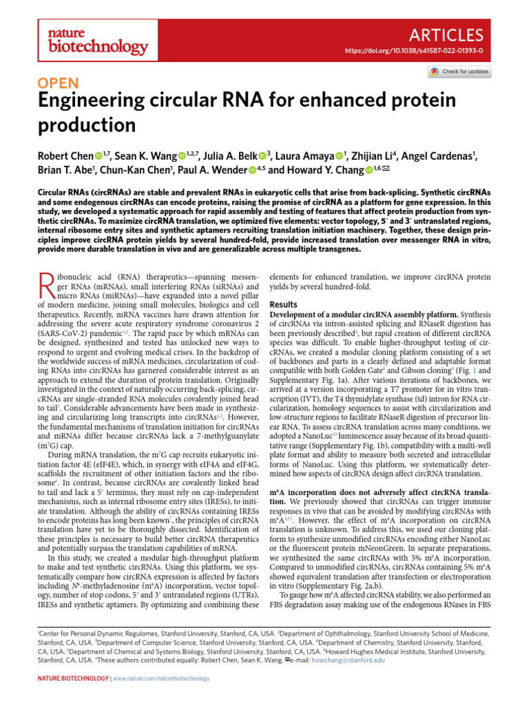Engineering Circular RNA For Enhanced Protein Production: Articles ...