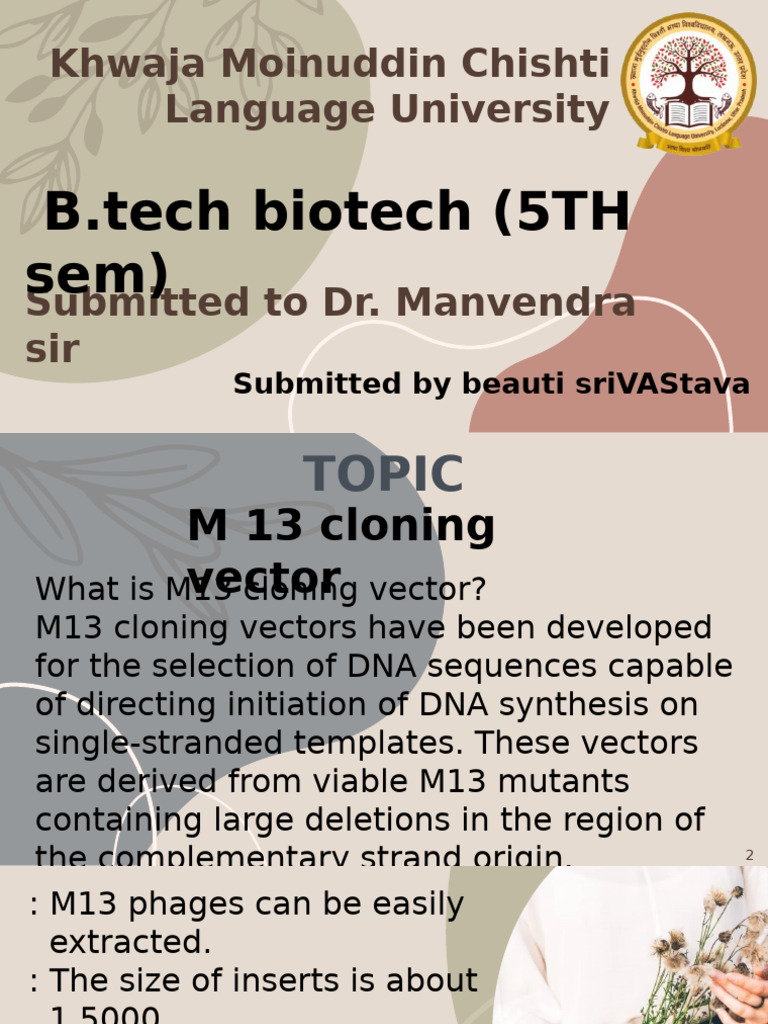 M13 Cloning Vector 3 | PDF