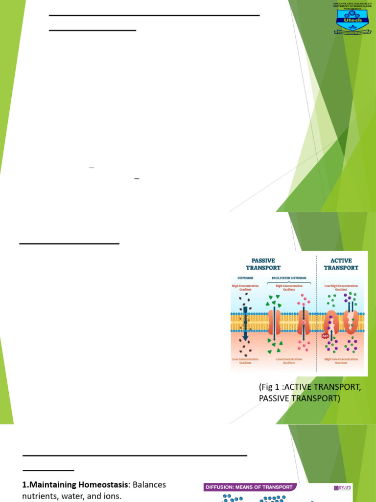 87 Sneha Biswas Ca1 | PDF | Skeleton | Human Body