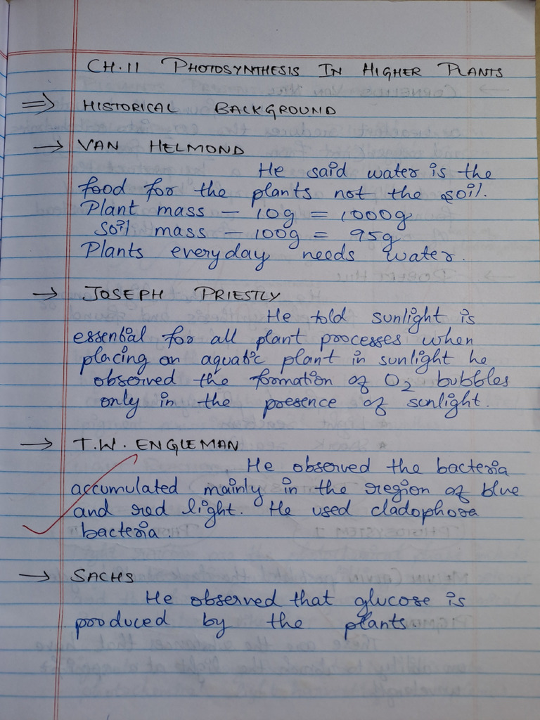 Plant Physiology Pdf
