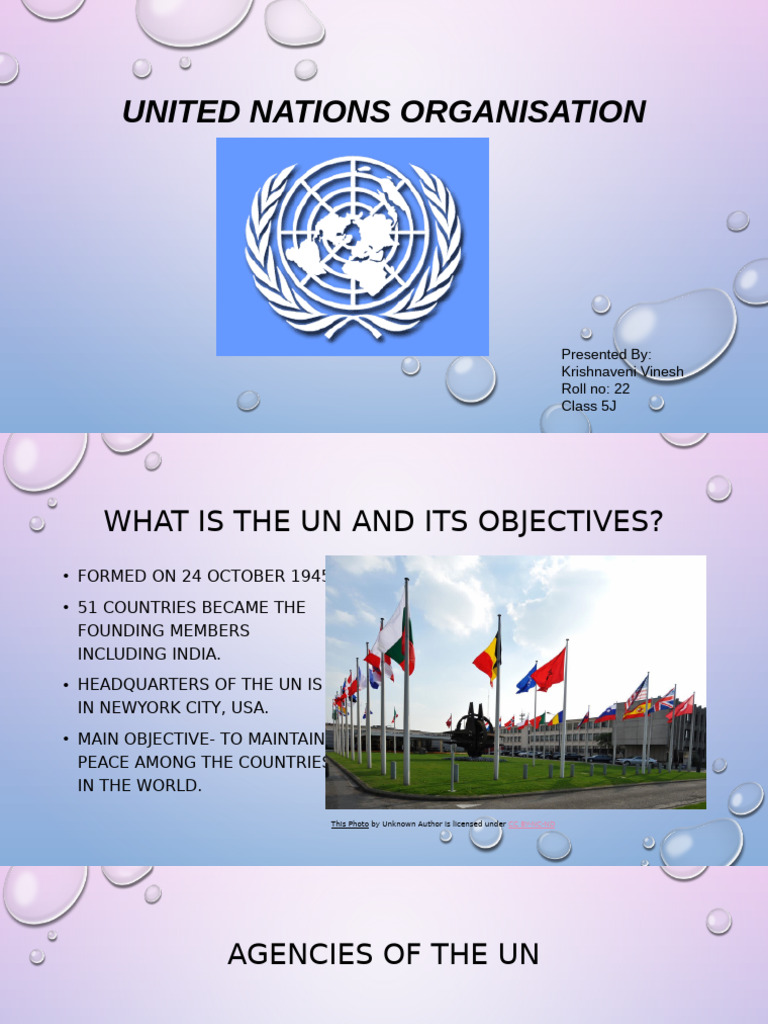 United Nations Organisation | PDF | World Health Organization | United ...