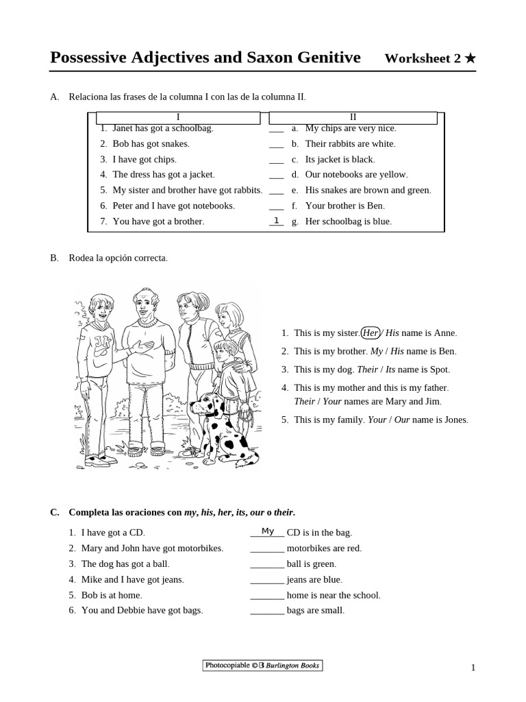 MAAB1 Spa G1-10 Possessive2 | PDF | Linguistic Morphology | Semantics