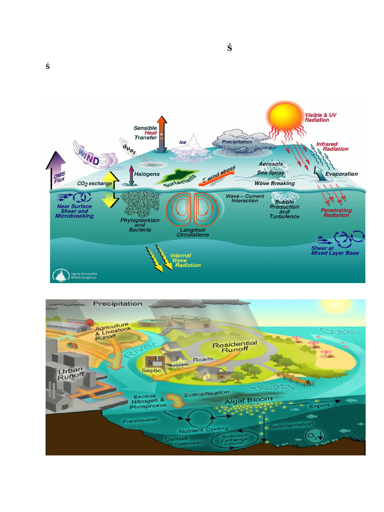 Wyklad 1 2023-2024 | PDF