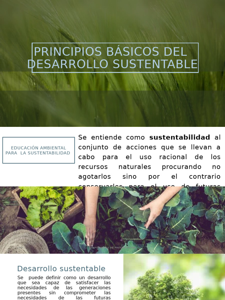 Principios Básicos Del | PDF | Desarrollo sostenible | Sustentabilidad