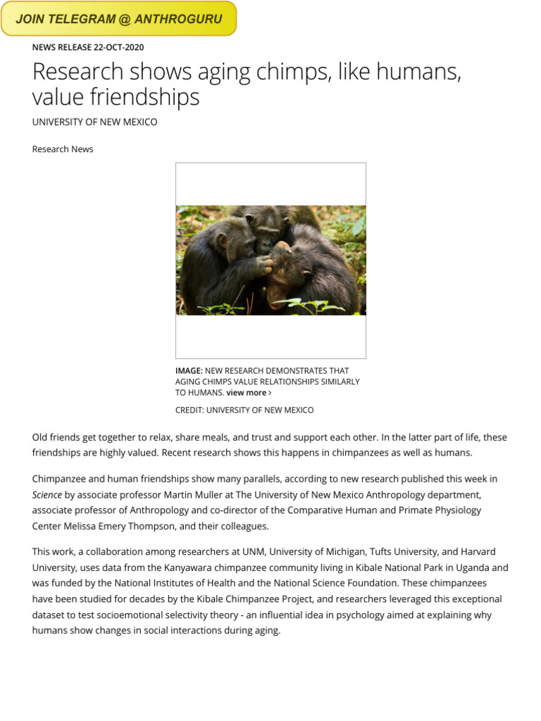 Aging Chimps, Like Humans, Value Friendships | PDF | Chimpanzee | Human