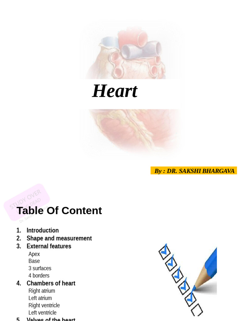 Heart | PDF | Heart Valve | Atrium (Heart)
