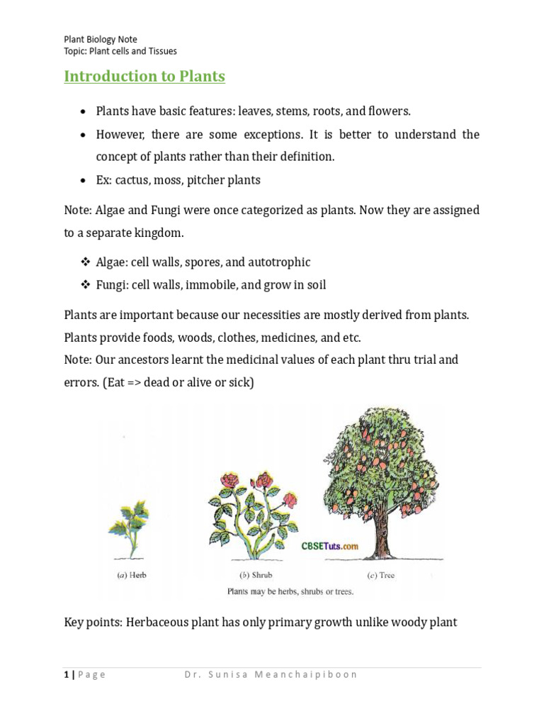 Plant Cells and Tissues Overview | PDF | Cell Membrane | Chloroplast