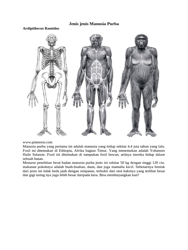 Jenis-Jenis Manusia Purba di Indonesia | PDF