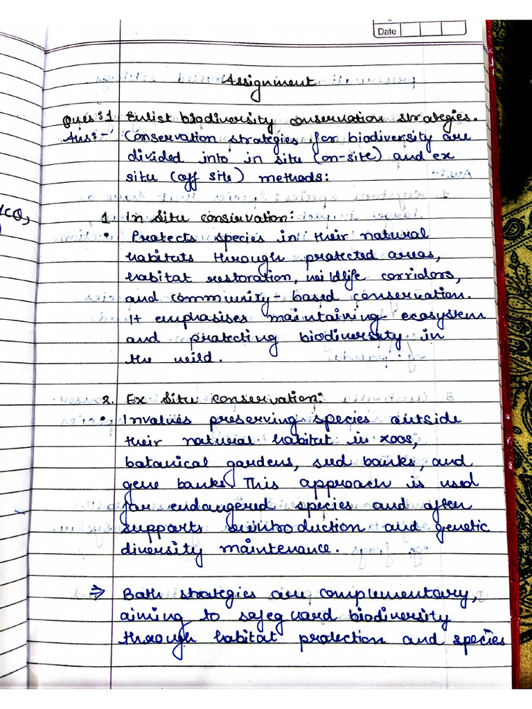 EVS Assignment | PDF