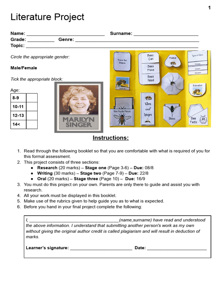 Literature Project Lapbook 202 | PDF