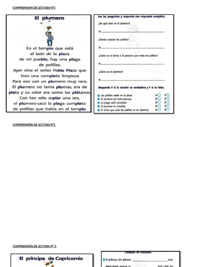 Cuaderno de Comprensión de Lectura y Vocabulario, 2 A B | PDF