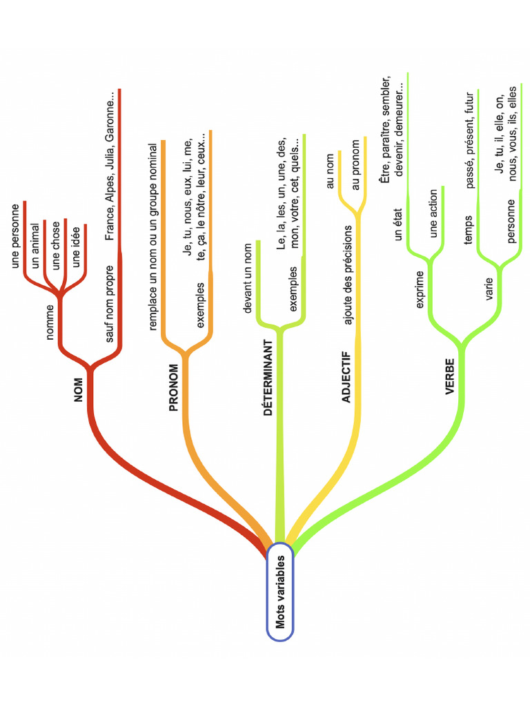 Carte Mentale Mots Variables | PDF