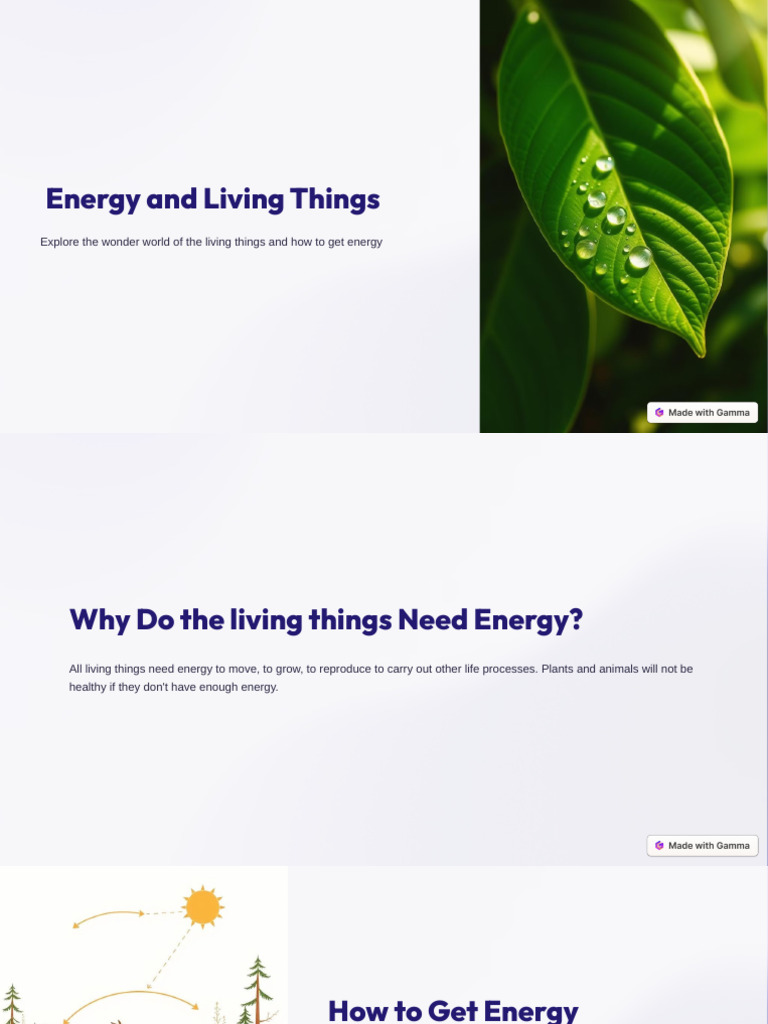 Energy and Living Things | PDF