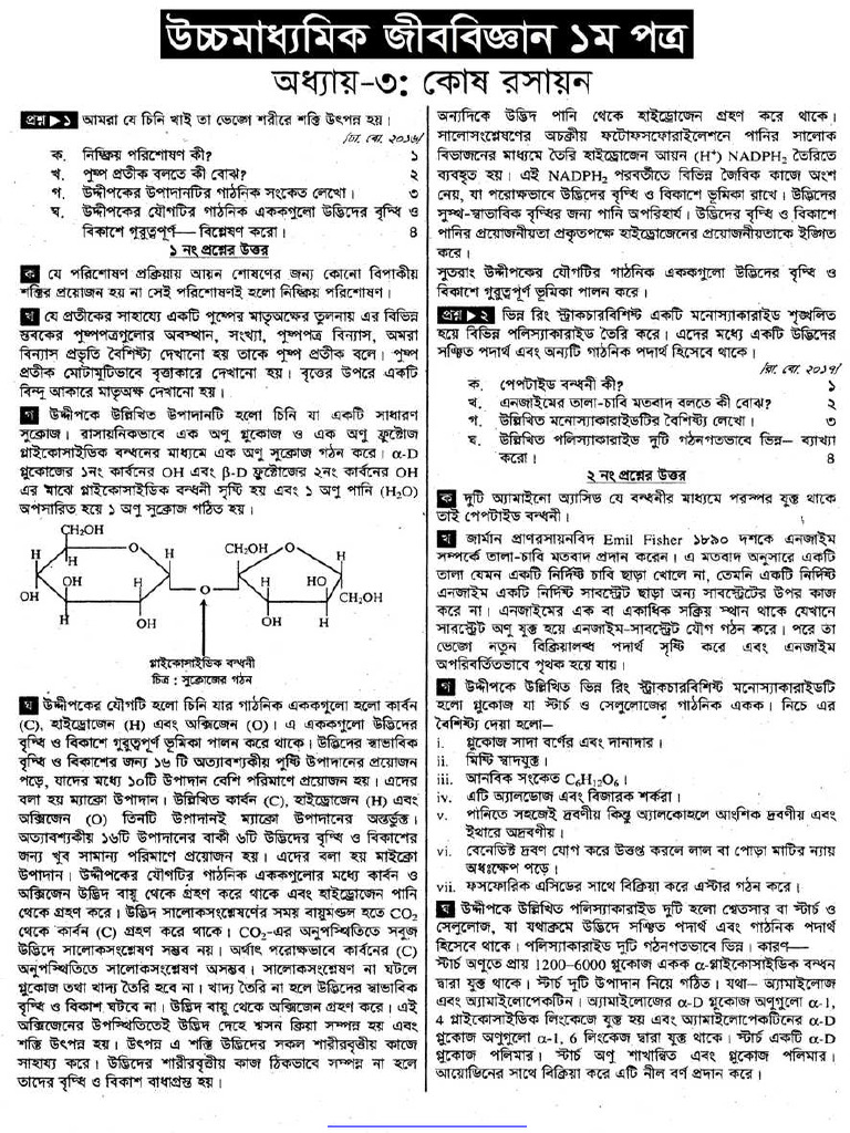 HSC Biology 1st Paper Note 3rd Chapter Cell Chemistry | PDF