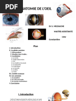 Anatomie de L'angle Irido-Corneen | PDF | Nerf | Anatomie