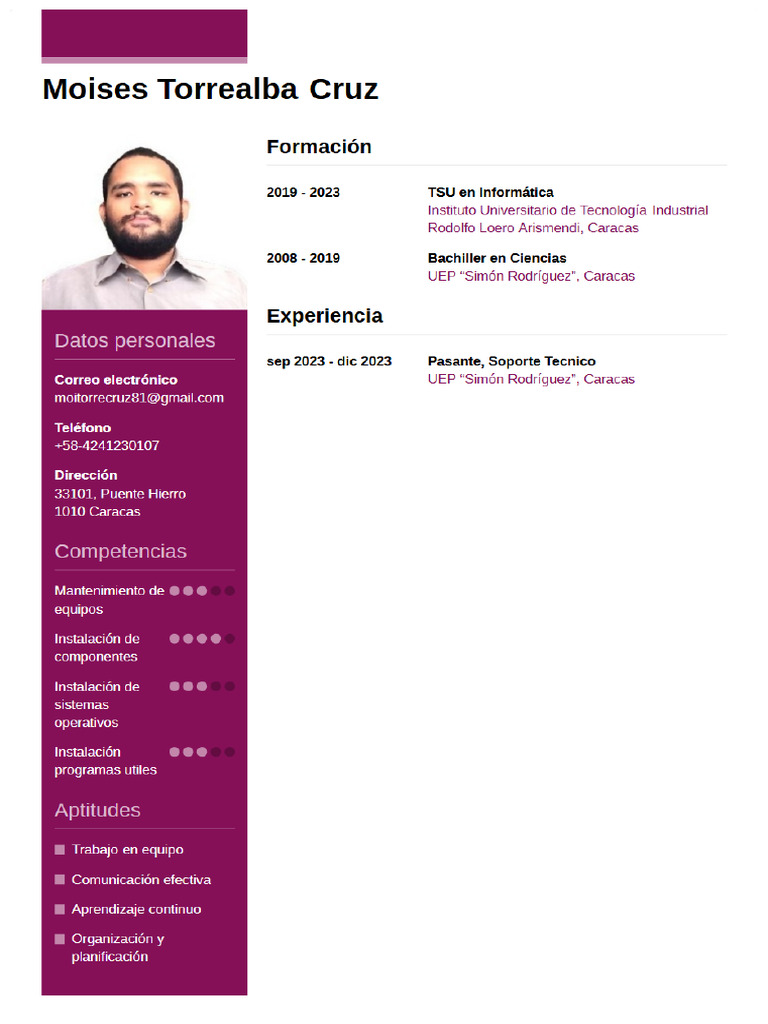 Curriculum Moises 28007938 | PDF