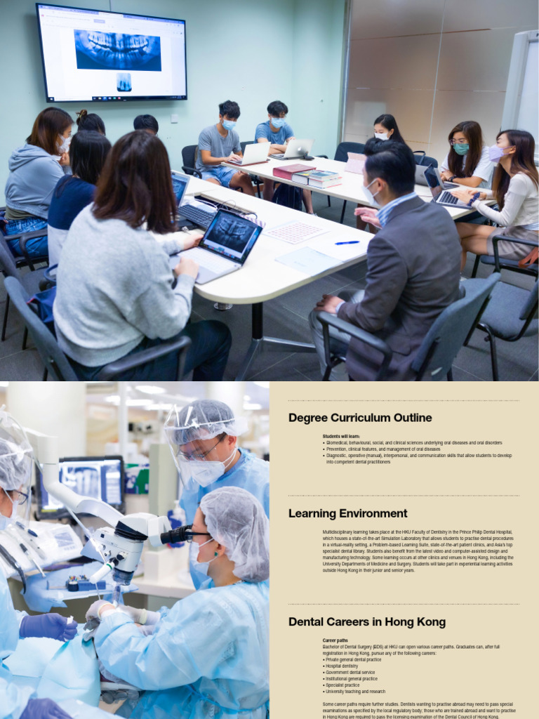 HKU Bds-Brochure 4 | PDF