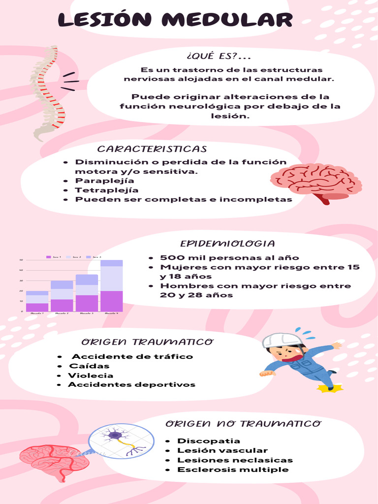 Infografía Lesión Medular | PDF | Lesión de la médula espinal | Médula espinal