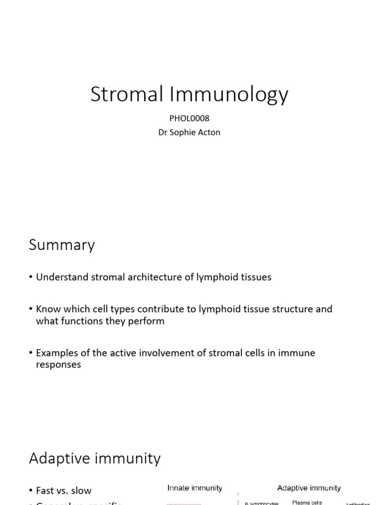 PHOL0008 Dec20 Stromal Immunology | PDF | Lymphatic System | Lymph Node