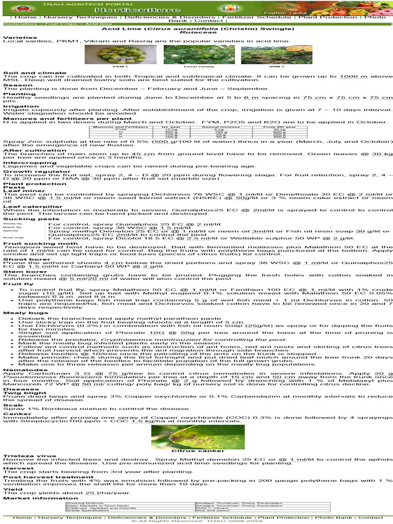 Horticulture Fruit Crops Acid Lime | PDF | Pest (Organism) | Horticulture