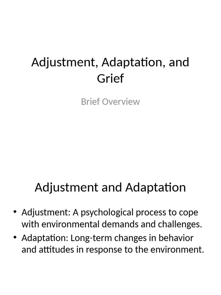Adjustment Adaptation Summary | PDF